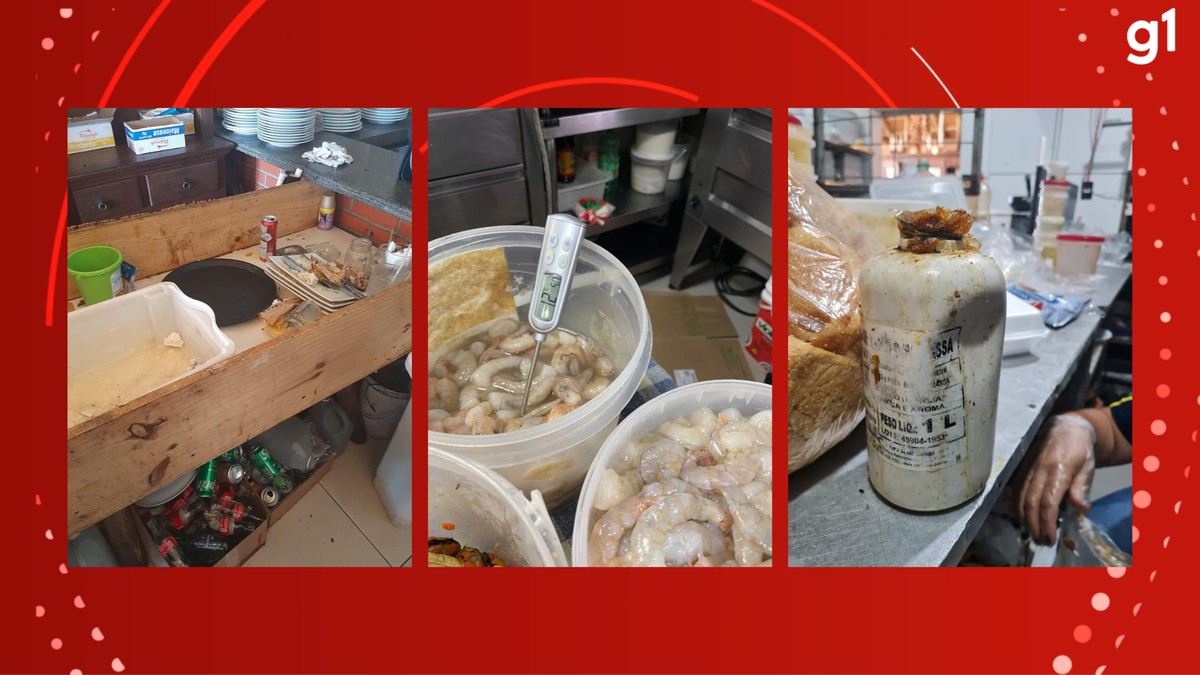 Operação apreende 600 kg de alimentos impróprios e interdita quiosque ...