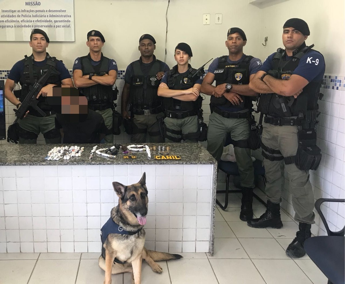 Cachorro da Polícia Militar fareja drogas e evita fuga de homem armado ...