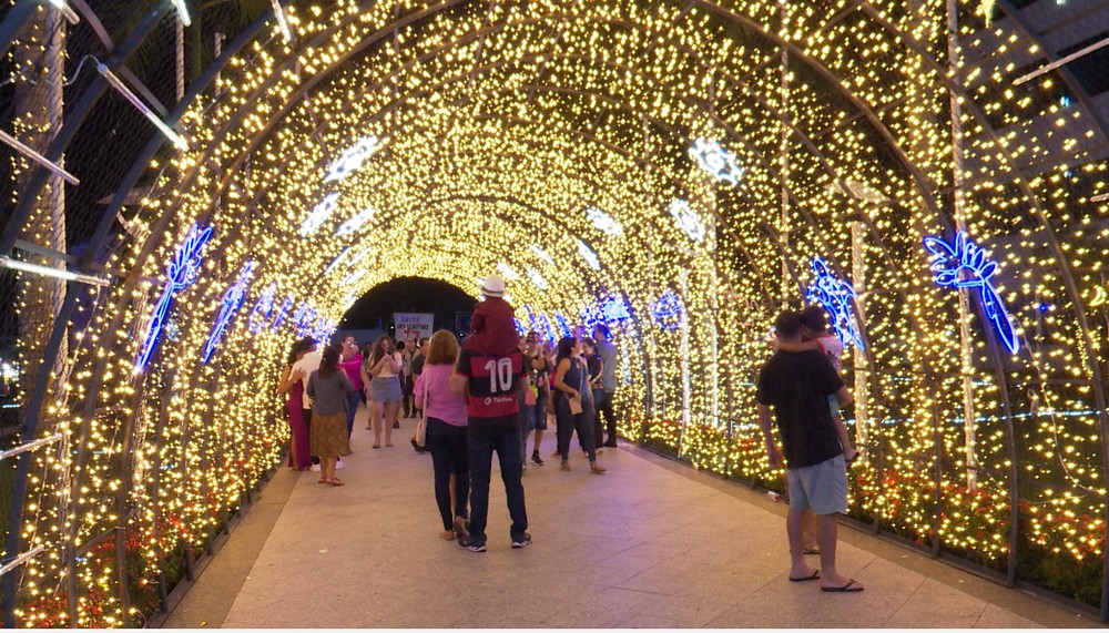 Saiba que horas acendem as luzes da decoração natalina do Palácio Rio ...