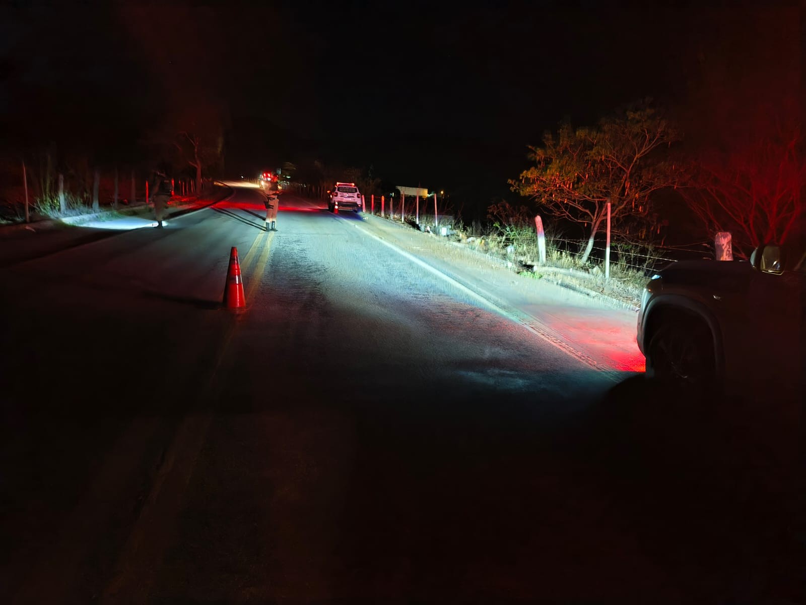 Motociclista morre após bater em estacas de cerca na BR-259, em Itueta | G1
