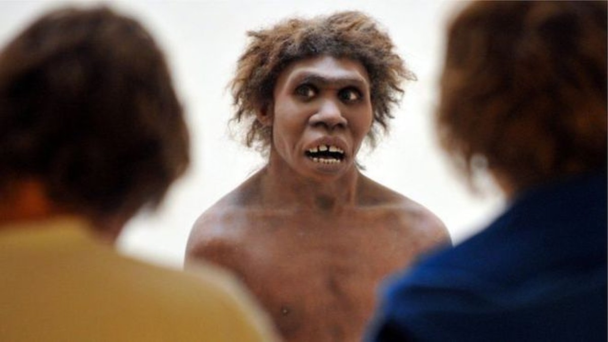 Por que foi o azar, e não a ação do 'Homo sapiens', que acabou com os ...