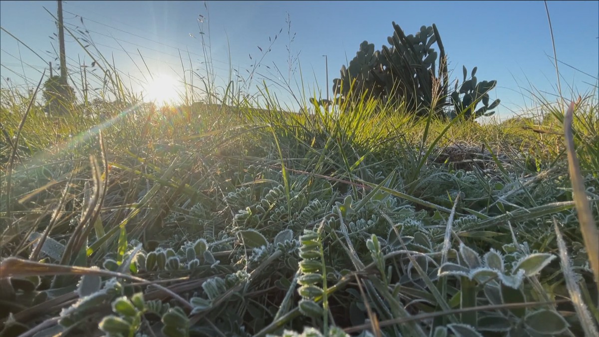 Domingo tem previsão de frio e geada no RS; deve chover em Porto Alegre ...