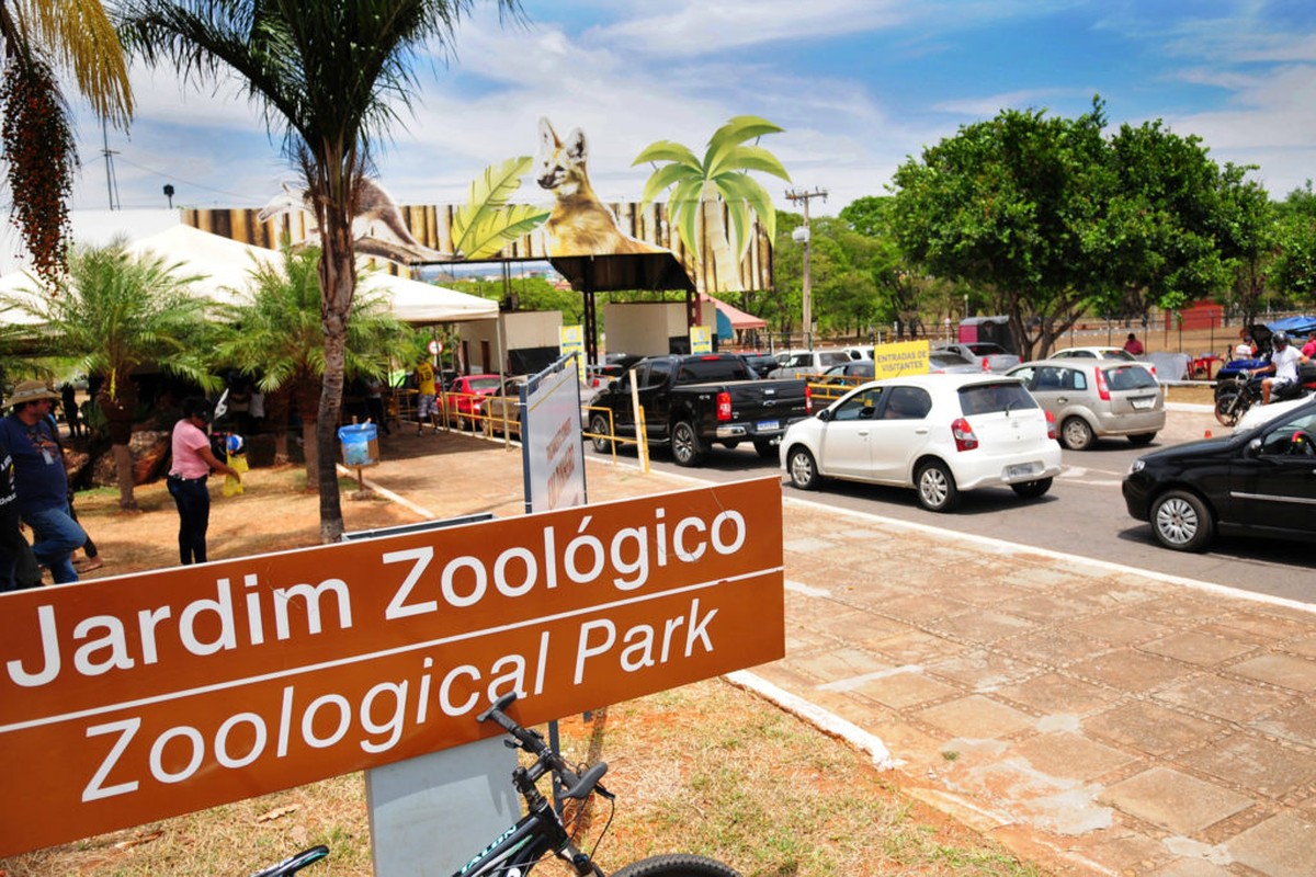 Zoológico de Brasília amplia capacidade para 5 mil visitantes por dia ...