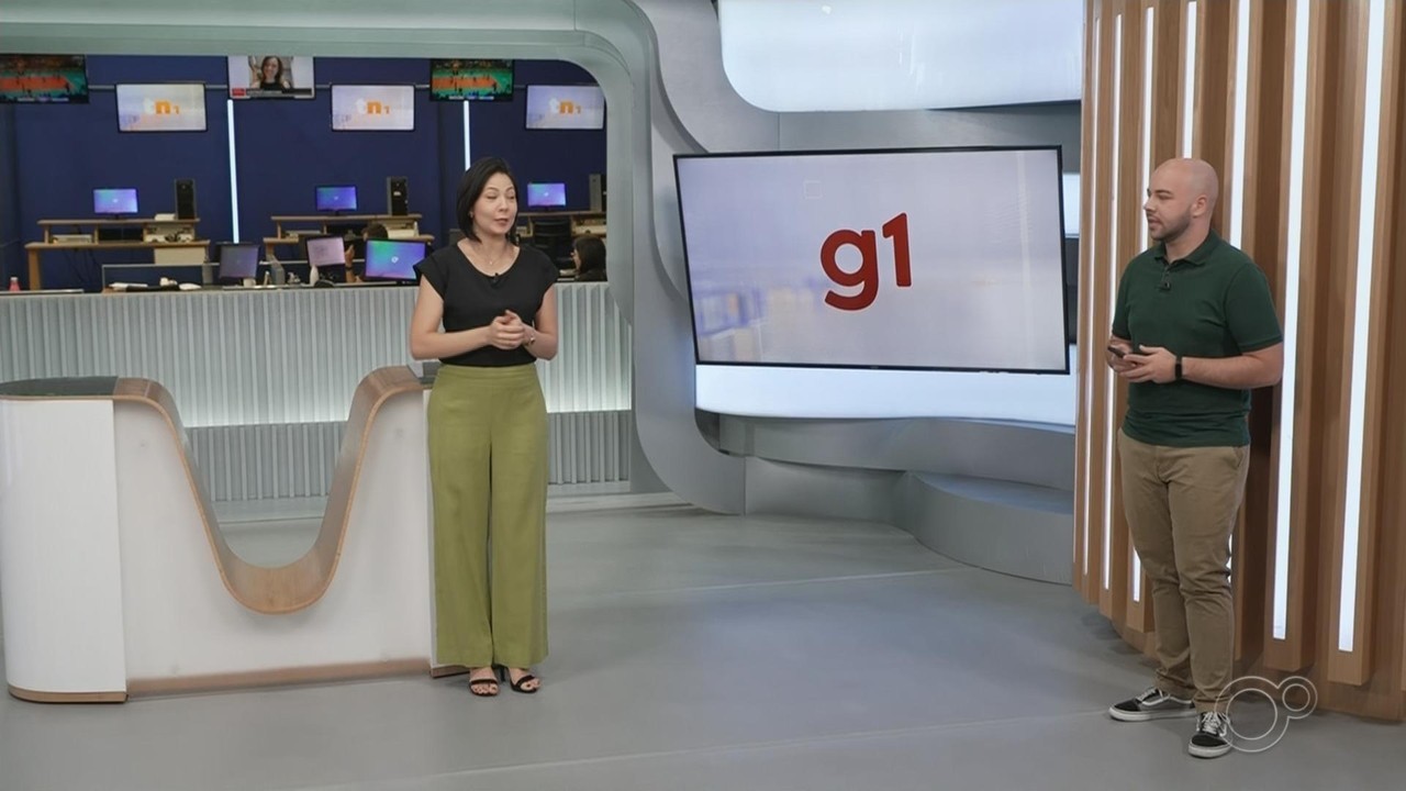 Fruto Urbano: projeto que cria pomares públicos para combater efeitos ...