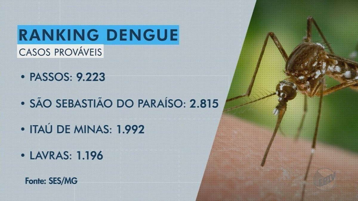 Dengue Sul De Minas Ultrapassa Marca De 20 Mil Casos Prováveis Da