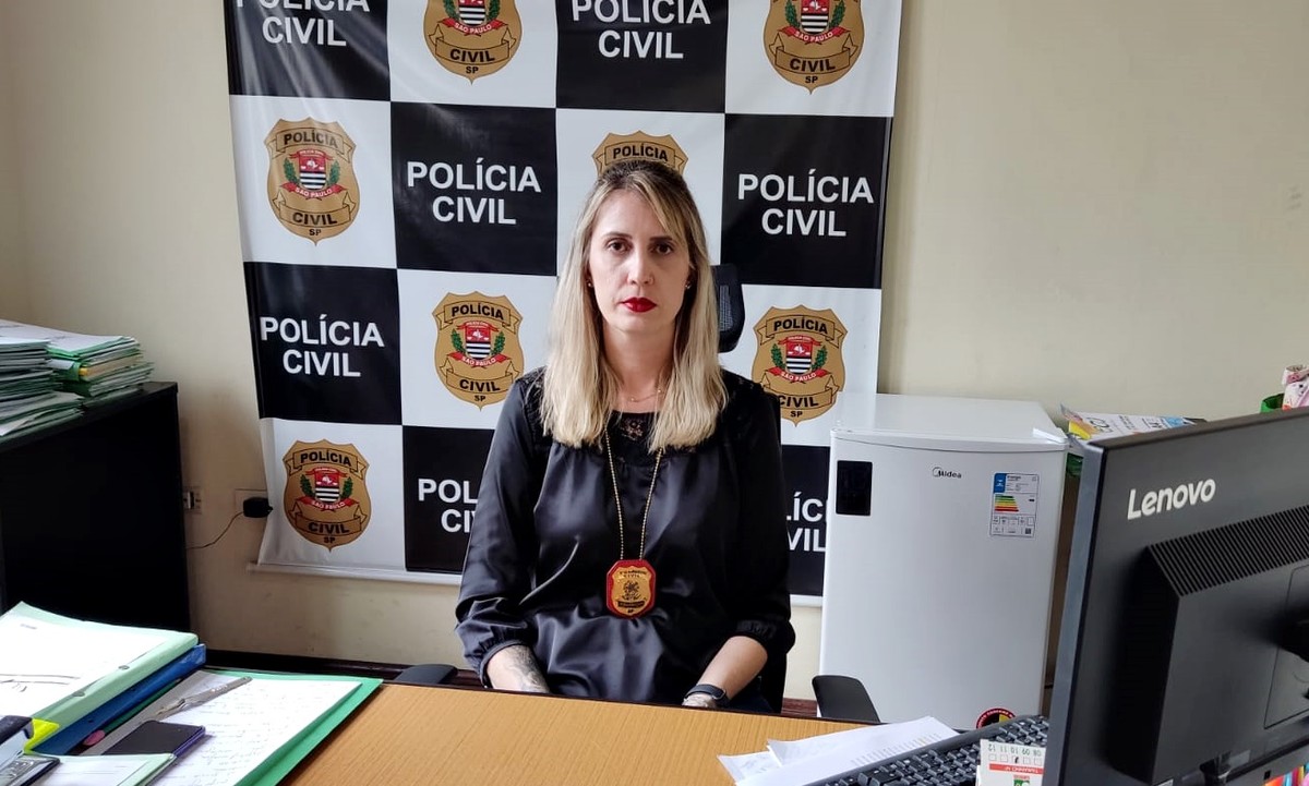 'Violência doméstica não se resolve só em delegacia': delegada da mulher analisa cenário da ...