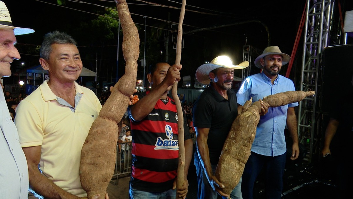 Com 2,31 metros, produtor rural vence concurso de maior macaxeira em ...