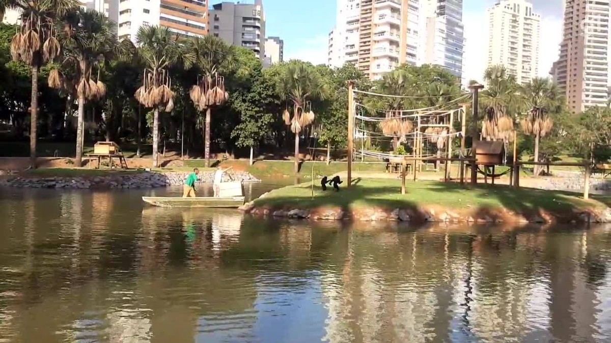 Zoológico de Goiânia reinaugura ilhas do lago dos macacos | Goiás | G1