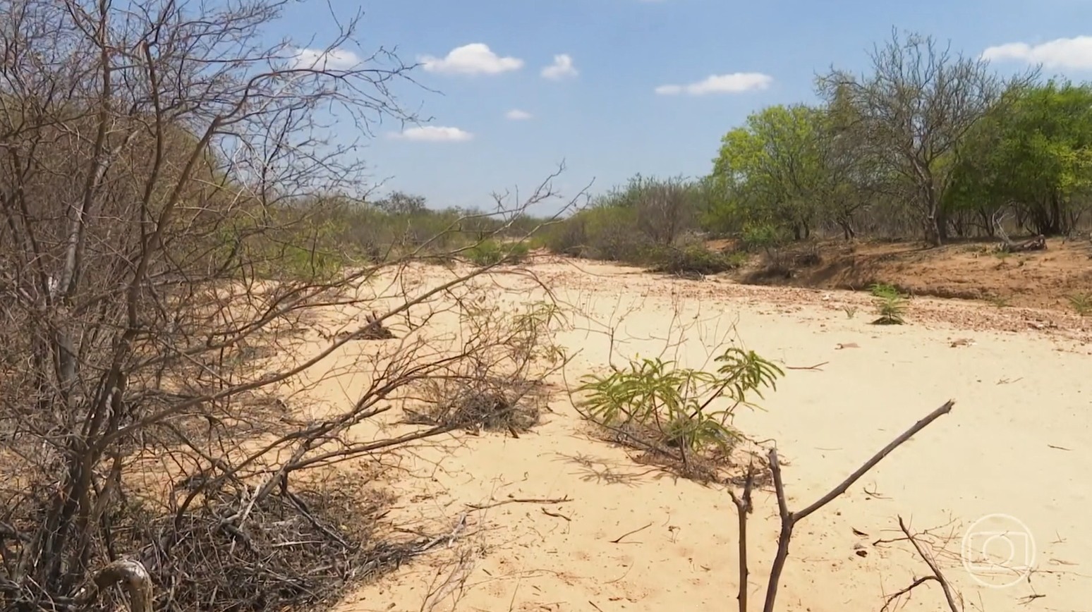 Seca deixa 65 municípios em situação de emergência na Bahia | G1