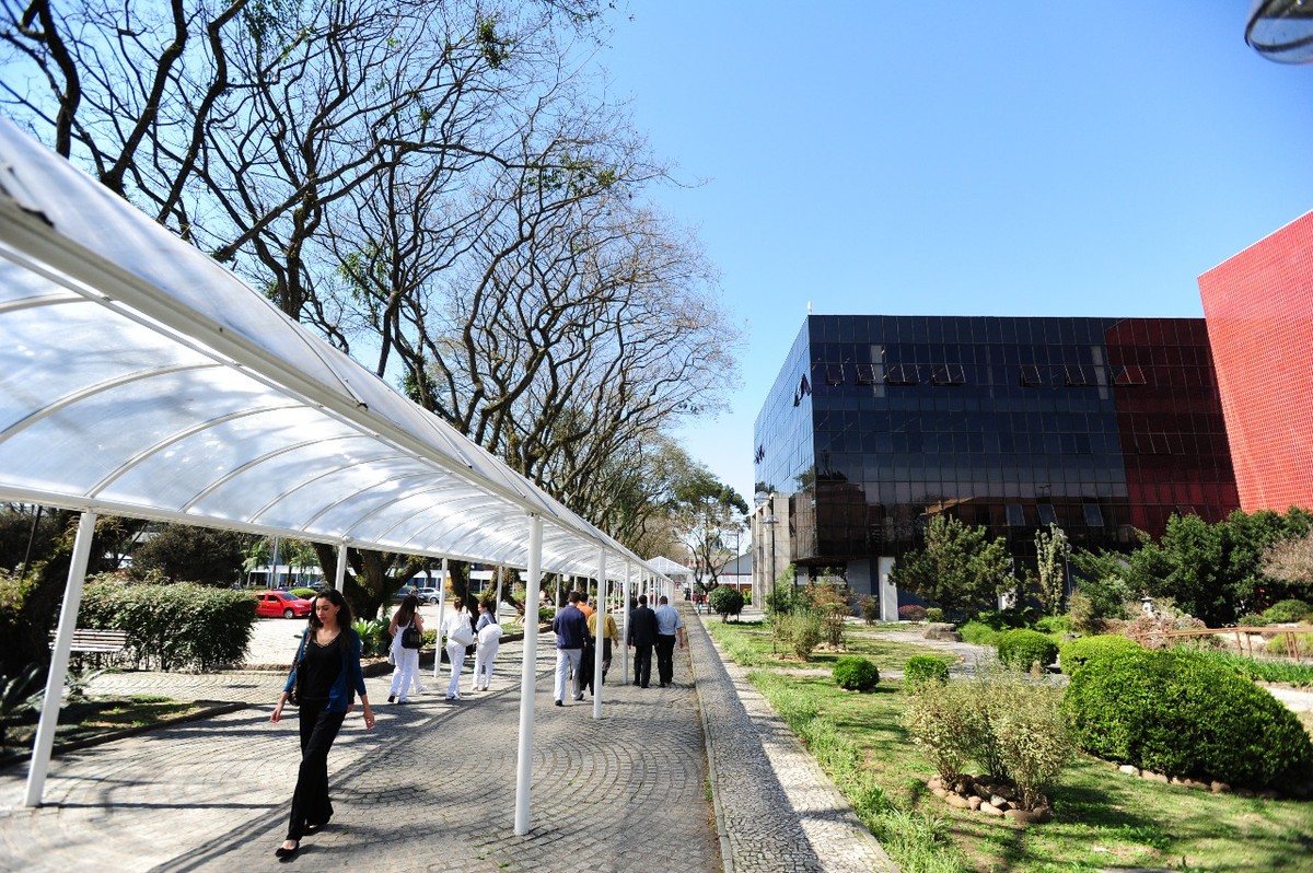 PUCPR lança programa de graduação internacional mais inovador da ...