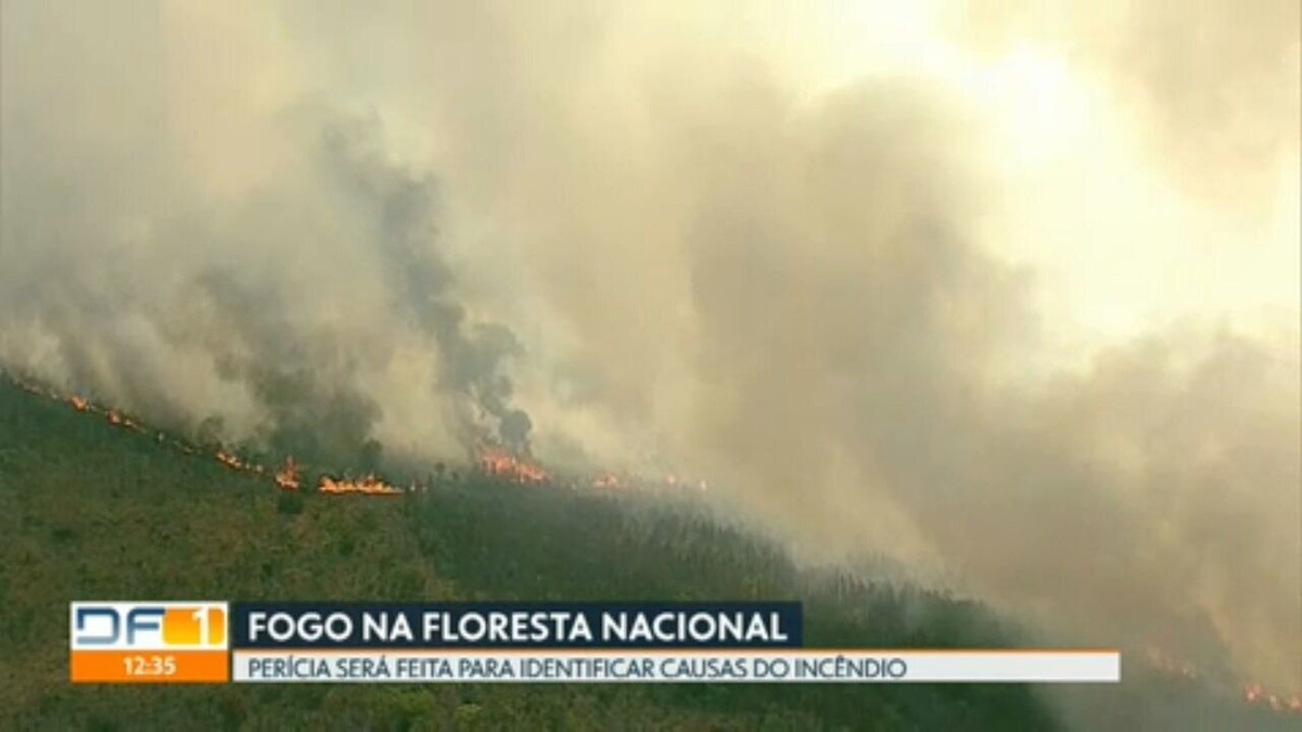 Incêndio no Parque Nacional de Brasília é controlado após 33 horas ...